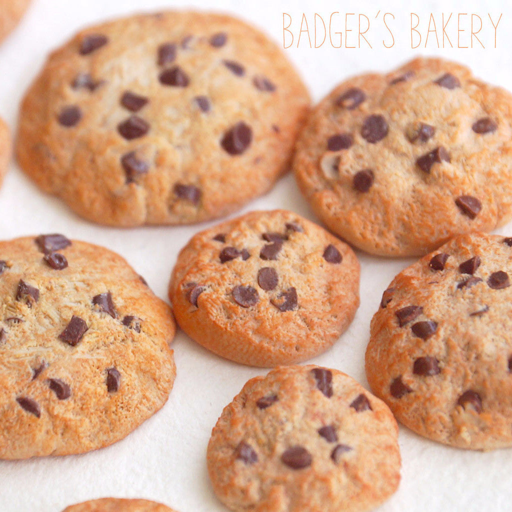 Chocolate Chip COOKIE Miniature for Dollfie Dolls – Badger's Bakery